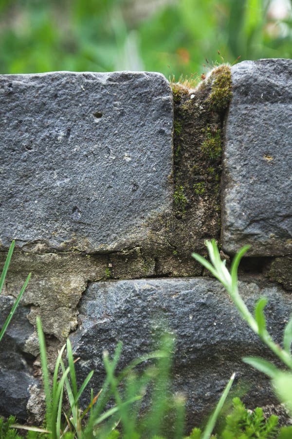 Brick texture, green grass stock photo. Image of plant - 189897468