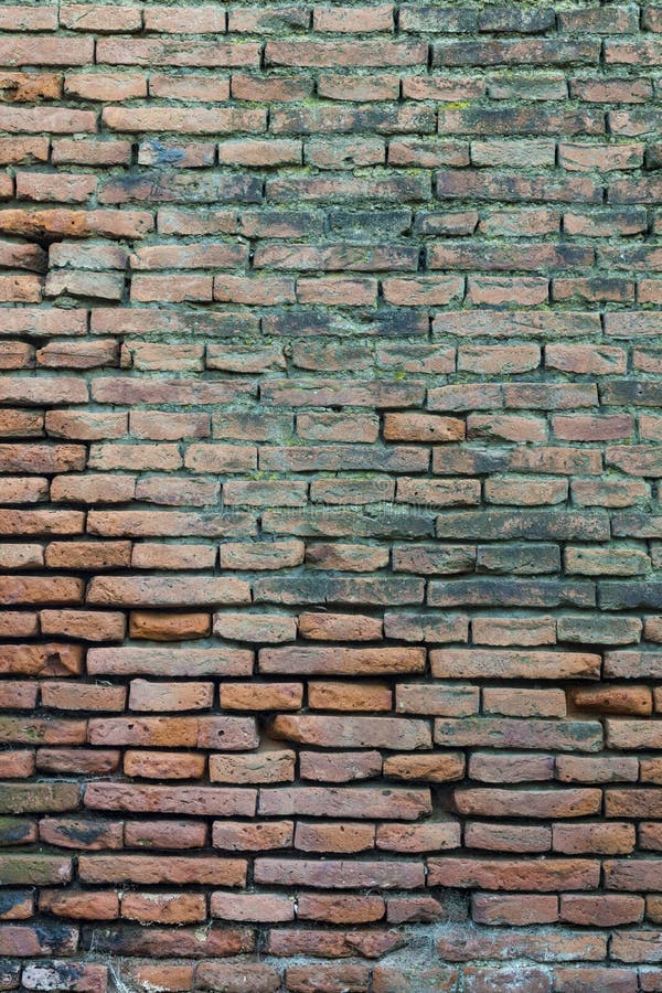 Brick Texture Textura Ladrillos Stock Photo - Image of vertical ...