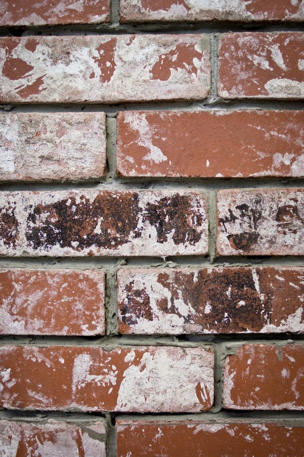 Brick texture stock photo. Image of background, mortar - 32018348