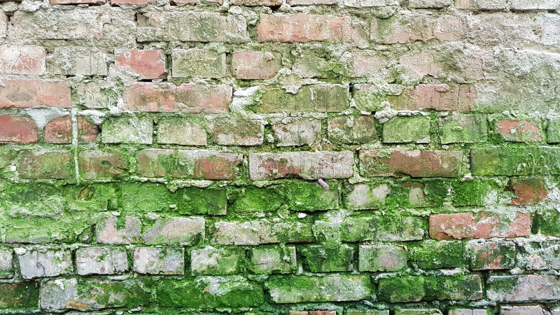 Straight Rectangular Brick Textured Background. Bricks with Rough ...