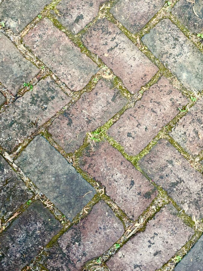 Brick Walkway stock photo. Image of pattern, walkway - 71541496