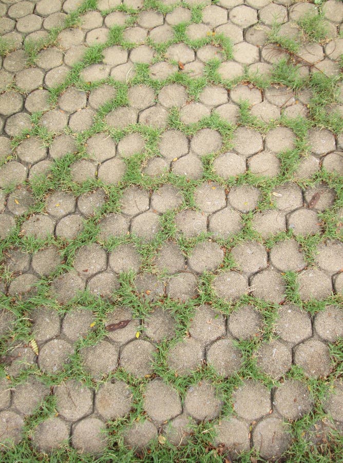 Brick Walkway Background Texture Stock Photos - Download 13,826 Royalty ...