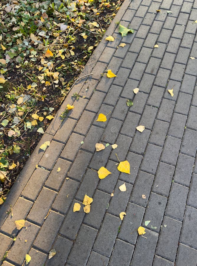 A Brick Walkway with Leaves on it Stock Photo - Image of leaves, orange ...