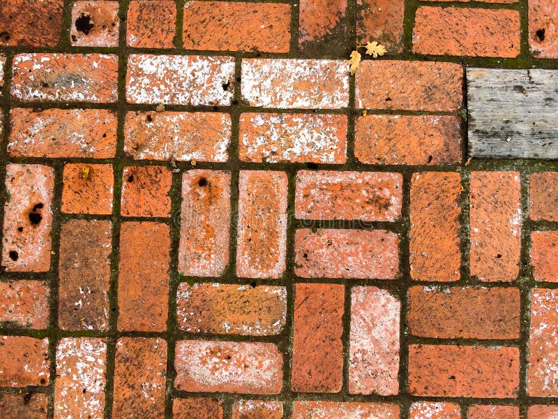 Brick Walkway Texture stock photo. Image of surface, abstract - 39142566