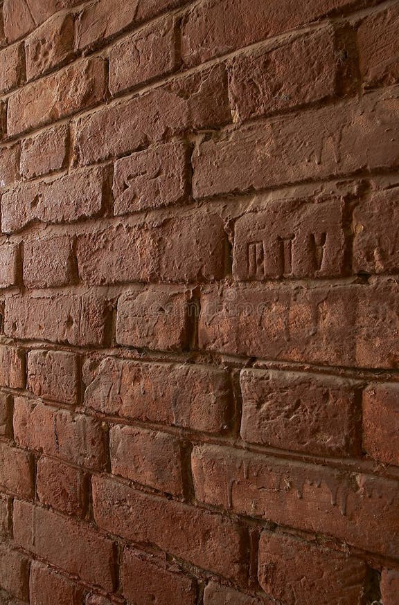 Brick wall stock photo. Image of ornament, salmon, quality - 156930