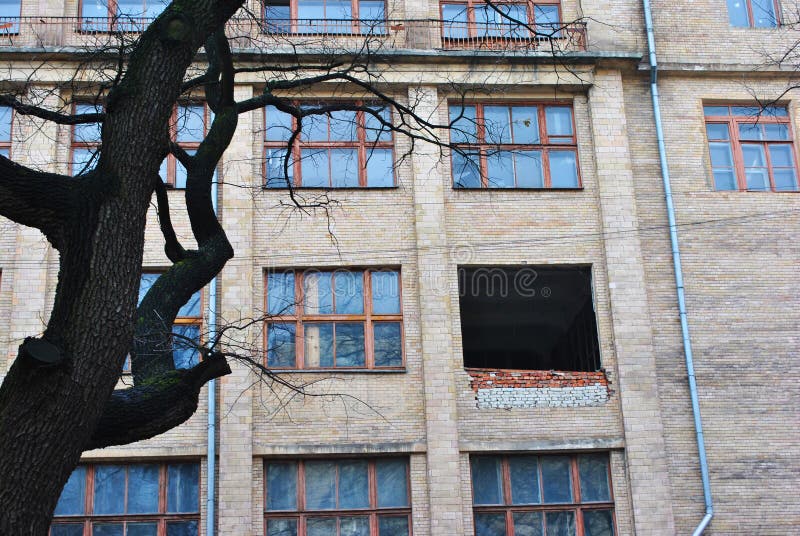 607 Broken Window Tree Branch Stock Photos - Free & Royalty-Free Stock ...