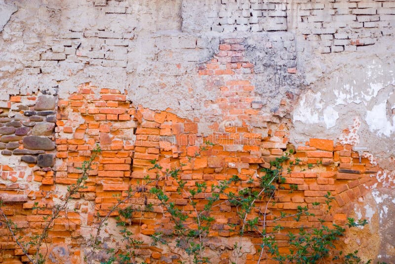 Bitmap Wall Paint Texture Stock Photos - Free & Royalty-Free Stock ...