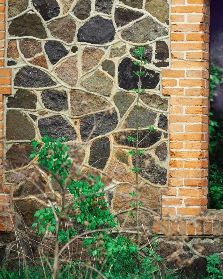 Brick Wall Background with Stone Orange Bricks Frame and Green Plants ...