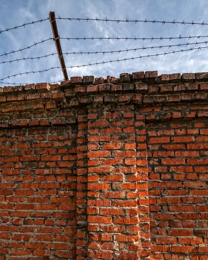 Barbed Wire On A Brick Wall Stock Photo - Image of fence, brick: 60220438