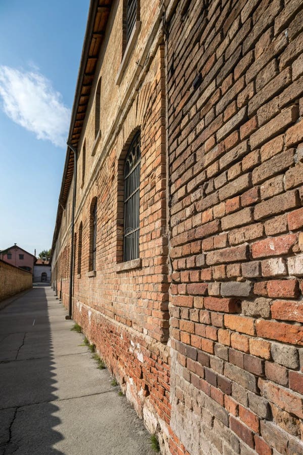 Brick wall of a building stock illustration. Illustration of ...