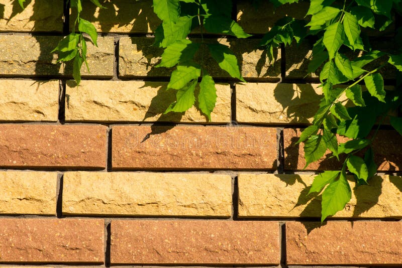 Brick Wall Closeup. Building a Wall with Bricks Stock Photo - Image of ...