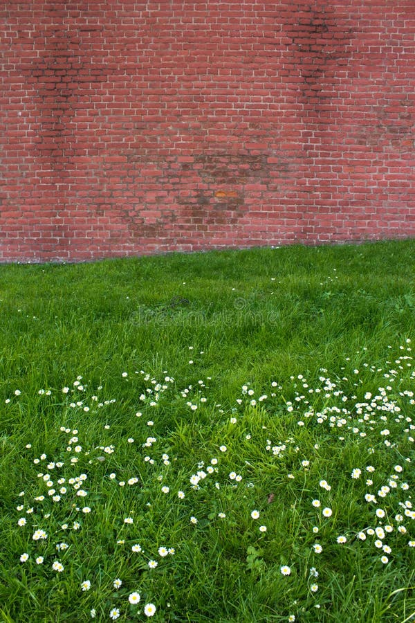 Brick wall on flower field stock image. Image of decorative - 27019925