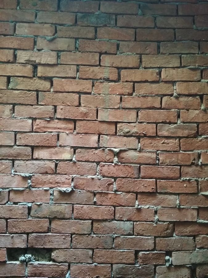 Brick Wall Front View Texture Stock Photo - Image of floor, roof: 226878702
