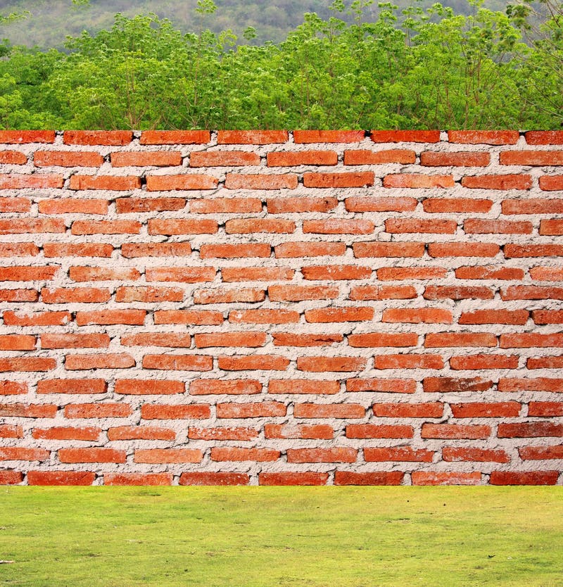 Brick Wall on Grass and Trees Stock Image - Image of cement, brown ...
