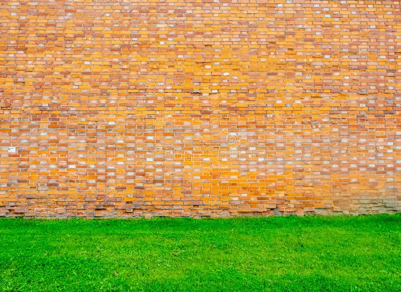 Brick Wall with Green Grass Stock Photo - Image of background, wall ...