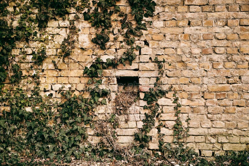 Rustic Building Wall Background Stock Image - Image of frame, detail ...