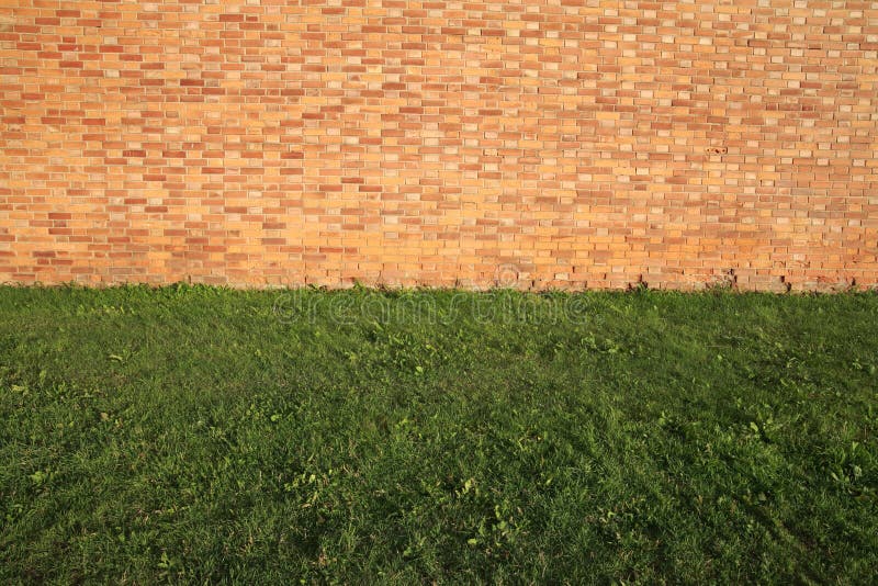 Brick wall and lawn stock photo. Image of green, construction - 65596836