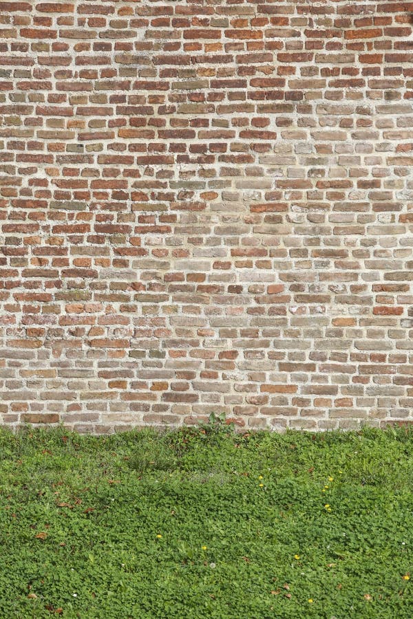 Brick Wall and Lawn Texture Stock Photo - Image of architecture, brick ...
