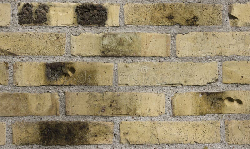 277 Wall Burned Bricks Photos - Free & Royalty-Free Stock Photos from ...
