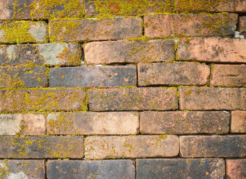 Brick Wall with Moss Texture Background Stock Photo - Image of grunge ...