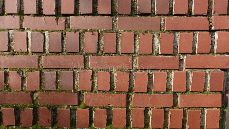 Brick Wall with Moss and Uneven Patterns in Natural Lighting Stock ...