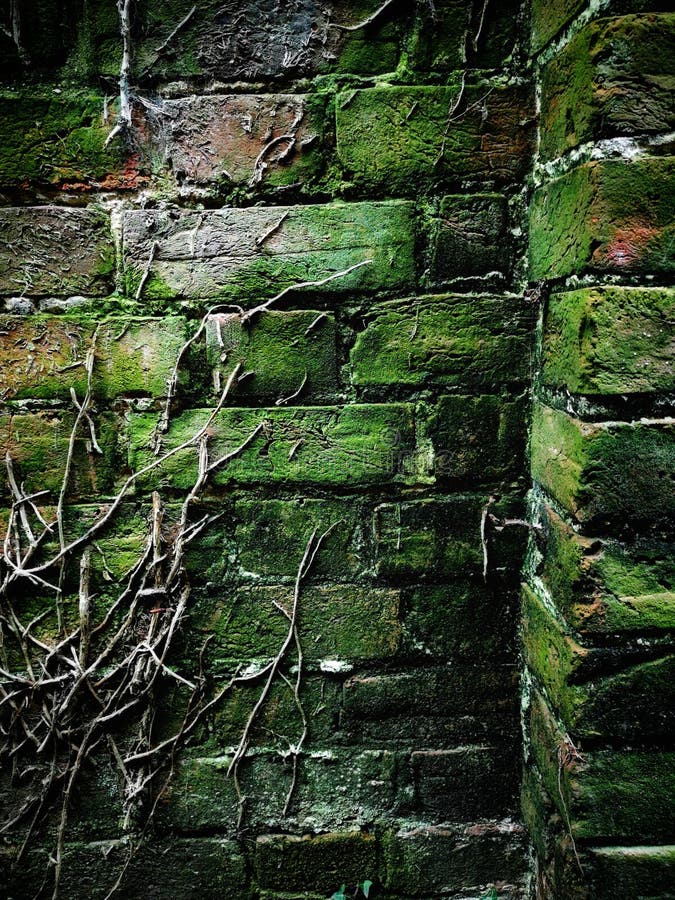 Brick wall stock photo. Image of natural, terrain, brick - 230459124