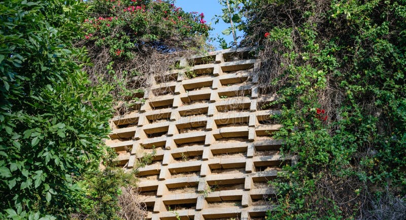 Brick wall overgrowth stock photo. Image of tree, barrier - 92263254