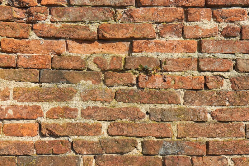 Old Brick Wall Lit by the Sun Stock Photo - Image of antique, backdrop ...