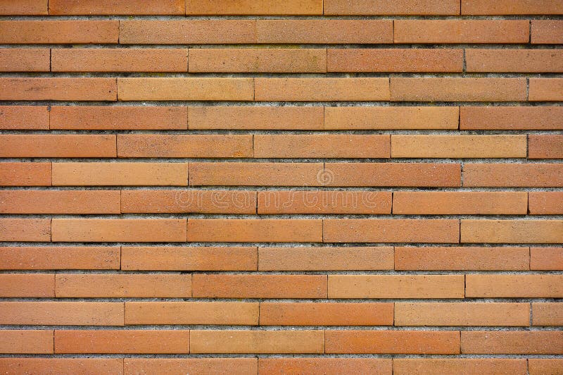 Fish bricks. stock photo. Image of wall, build, construct - 21637314