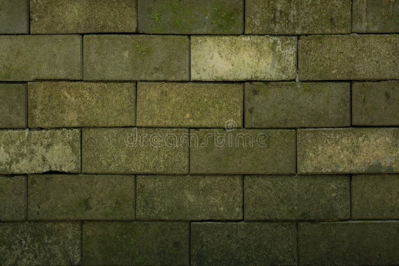 Brick Wall Picture Has a Little Moss Stock Photo - Image of white ...