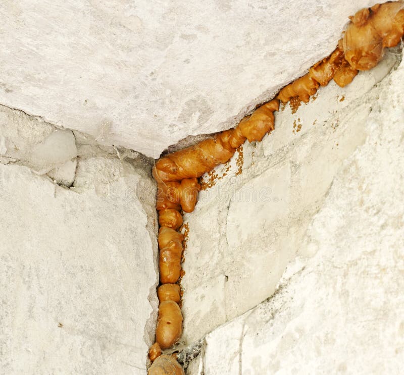 Brick Wall with Polyurethane Foam Stock Image - Image of layer ...