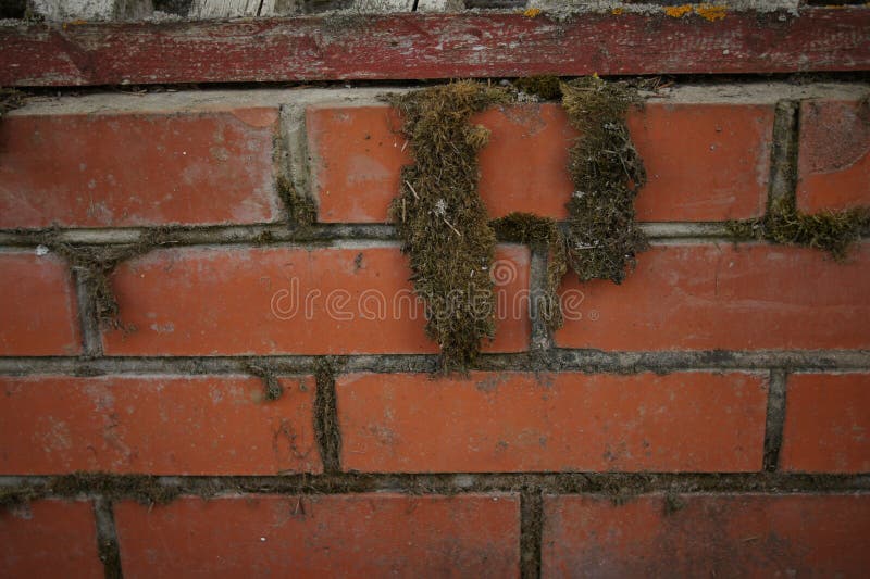 111 Terracotta Cladding Texture Stock Photos - Free & Royalty-Free ...