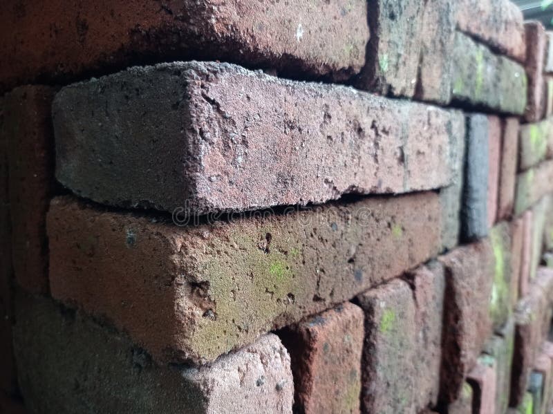 Brick Wall Seen from the Corner Stock Image - Image of brickwork, leaf ...