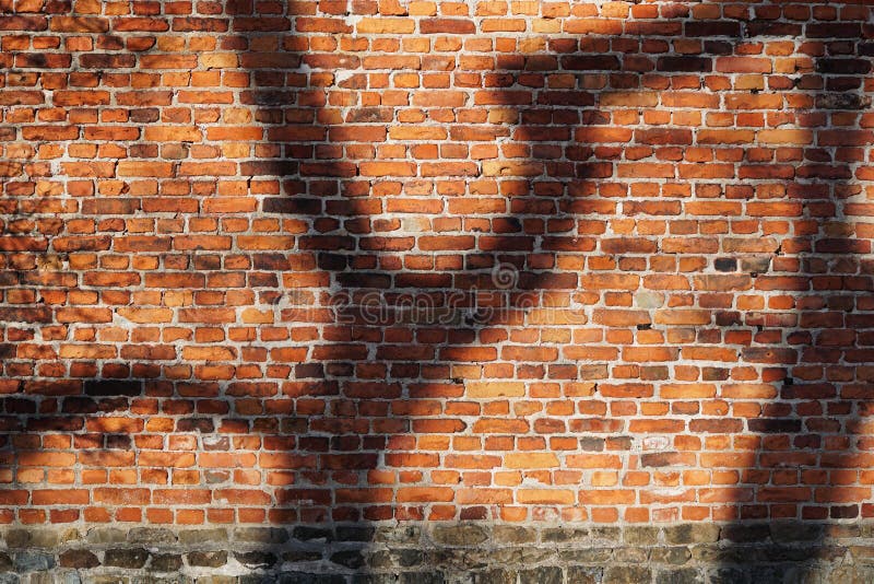 Brick Wall with Shadow Pattern. Stock Photo - Image of network, cement ...