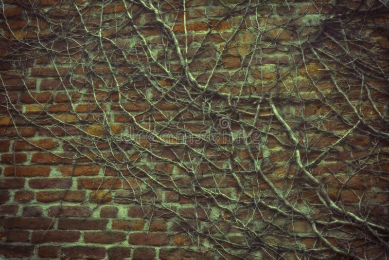 Brick Wall Stone Background - Texture for Continuous Rocks Stock Image ...