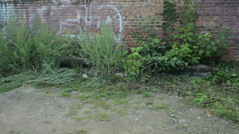 Brick wall for tracking. stock video. Video of grunge - 122557253