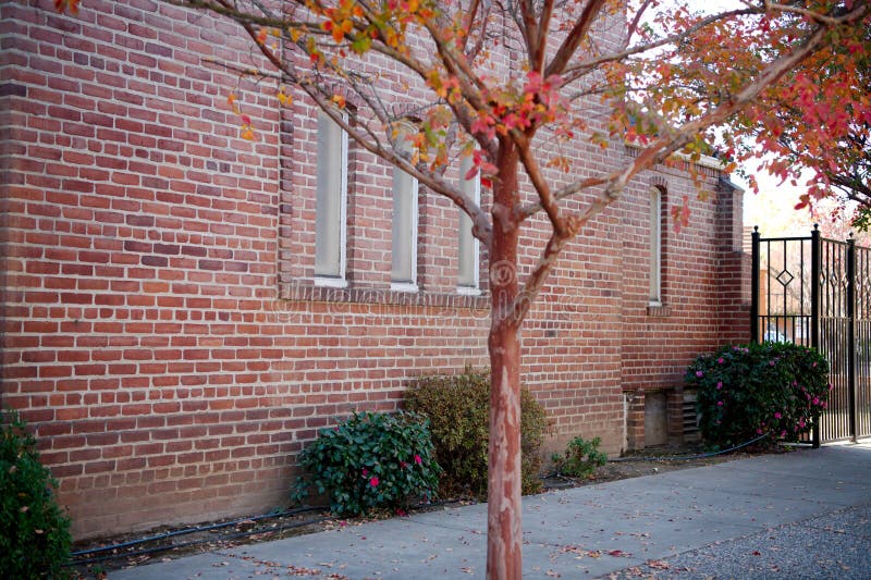 157 Hiding Behind Brick Wall Stock Photos - Free & Royalty-Free Stock ...