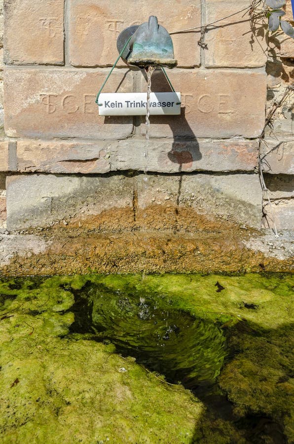 Water Outlet with Algae-covered Basin Stock Photo - Image of supply ...