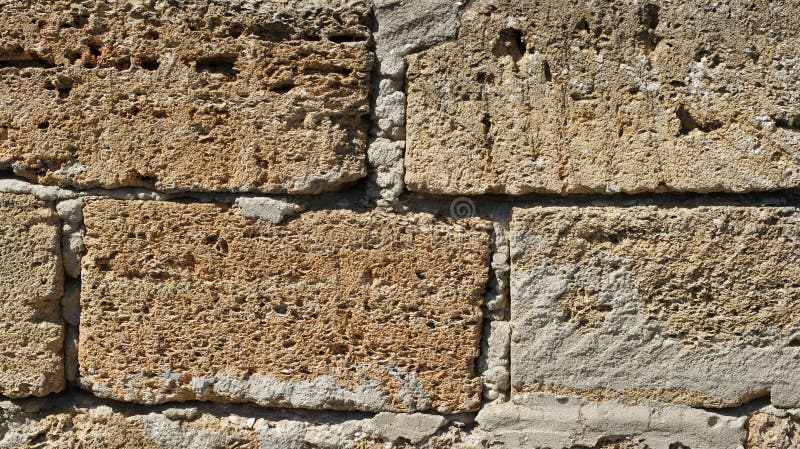 Shellstone Texture Stock Photos - Free & Royalty-Free Stock Photos from ...