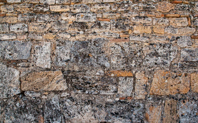 Brick Wall of Yellow Shell Rock. Closeup of Shellstone Texture ...
