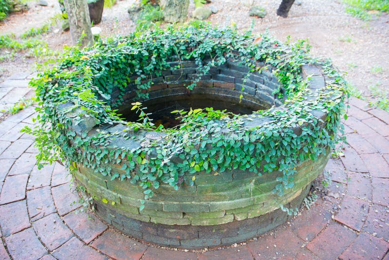 Brick Water Well with Green Creeper Stock Photo - Image of bucket ...