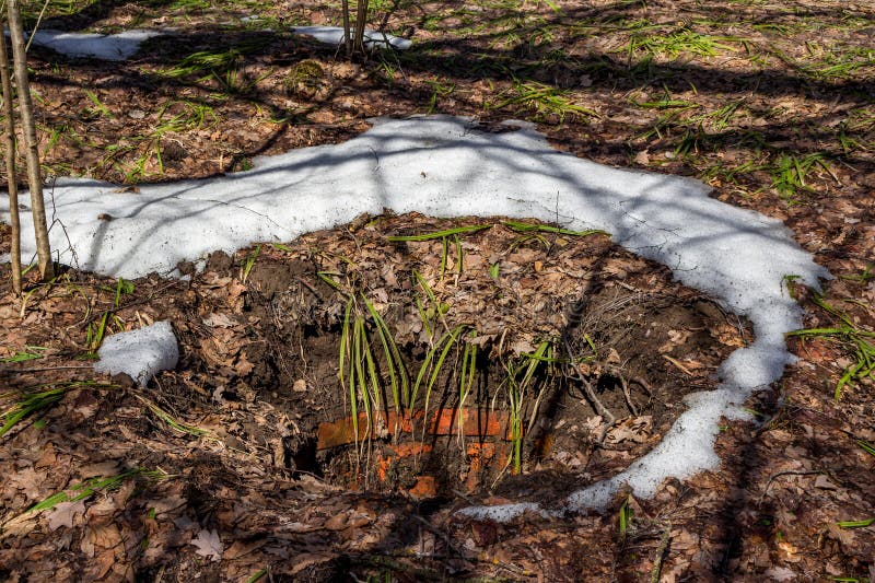 Brick Well Going Underground, Descent Down Stock Image - Image of brick ...
