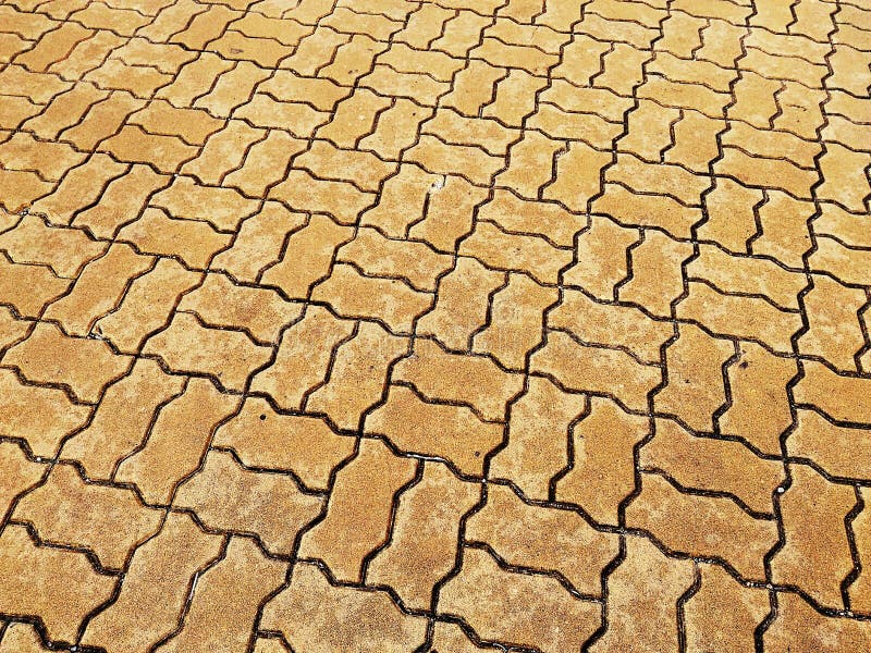 Brick Worm or Bricklaying Worm on the Walkway Stock Image - Image of ...