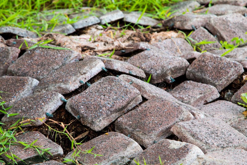 177 Brick Worm Texture Stock Photos - Free & Royalty-Free Stock Photos ...