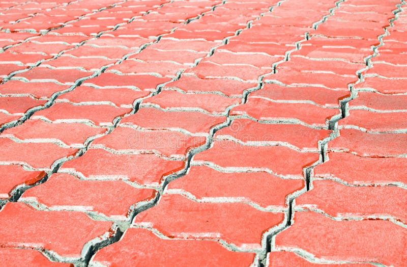 Brick worm on the walkway stock photo. Image of footpath - 48749042