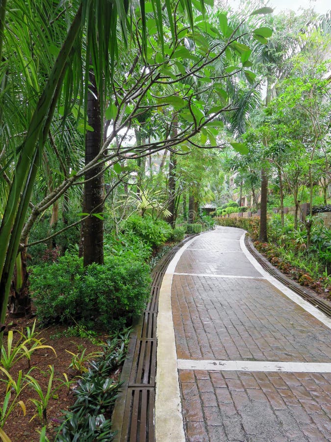 Bricked pathway in Boracay stock image. Image of pathway - 266089403