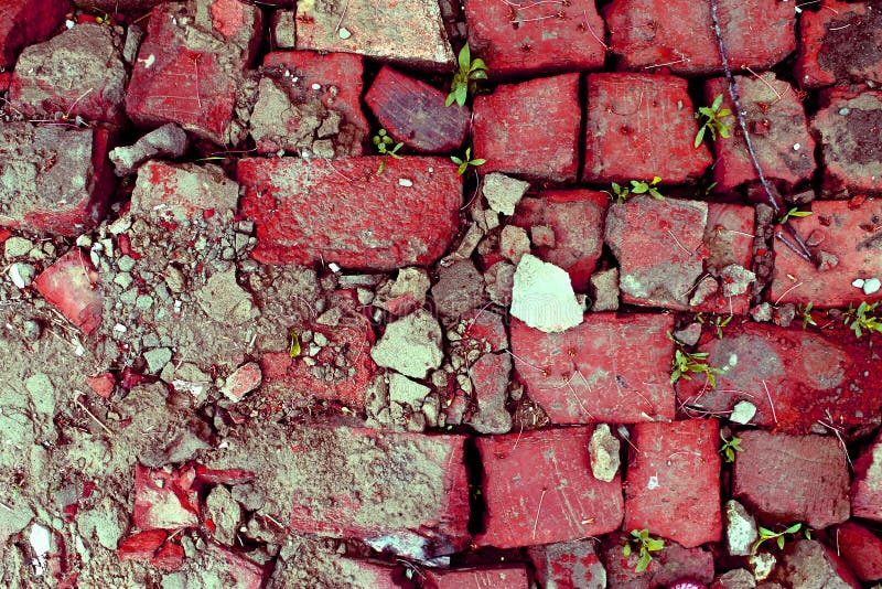 Bricklaying from Broken Red Brick with Sprouted Grass Stock Photo ...