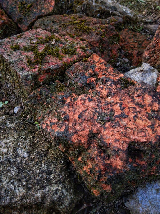 These Bricks Begin To Rot and are Filled with Moss Due To Being ...