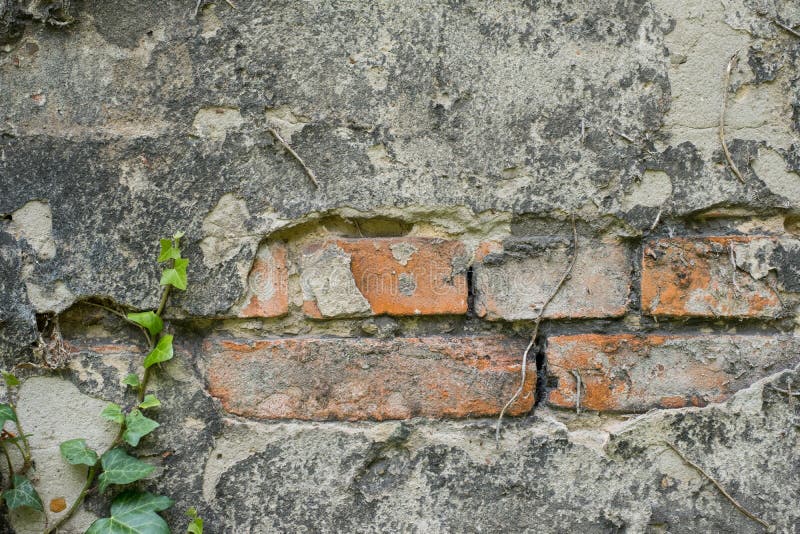 Bricks Behind Peeling Plaster - Old Wall Closeup Stock Image - Image of ...