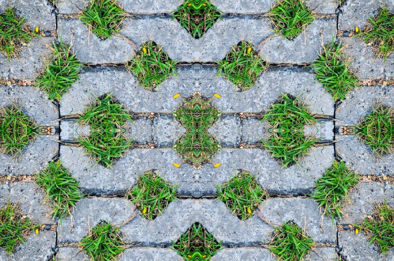 Bricks floor with grass stock image. Image of hardscape - 83578093